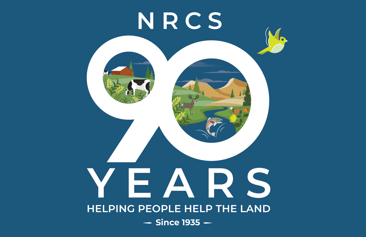 NRCS90 – Cat Bailey Designs
