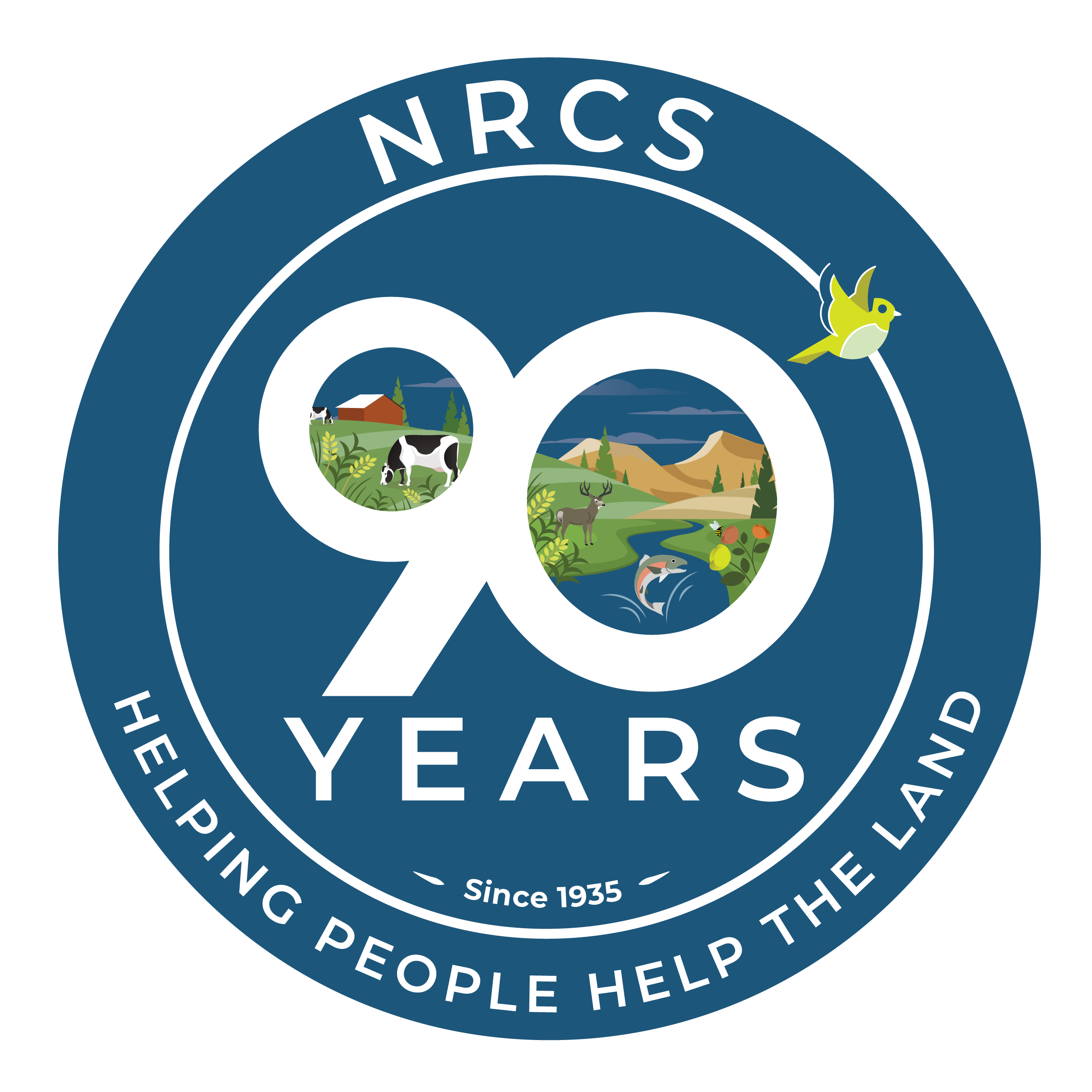NRCS90 – Cat Bailey Designs
