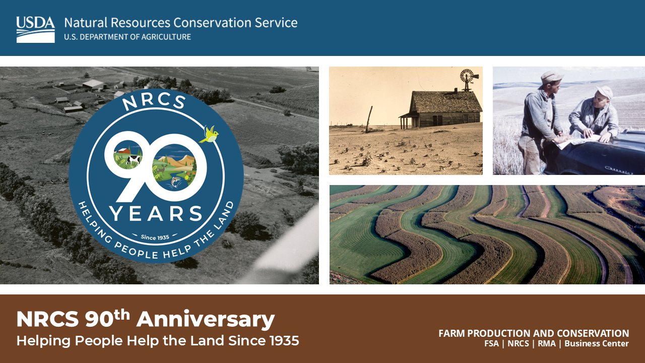 NRCS90 – Cat Bailey Designs